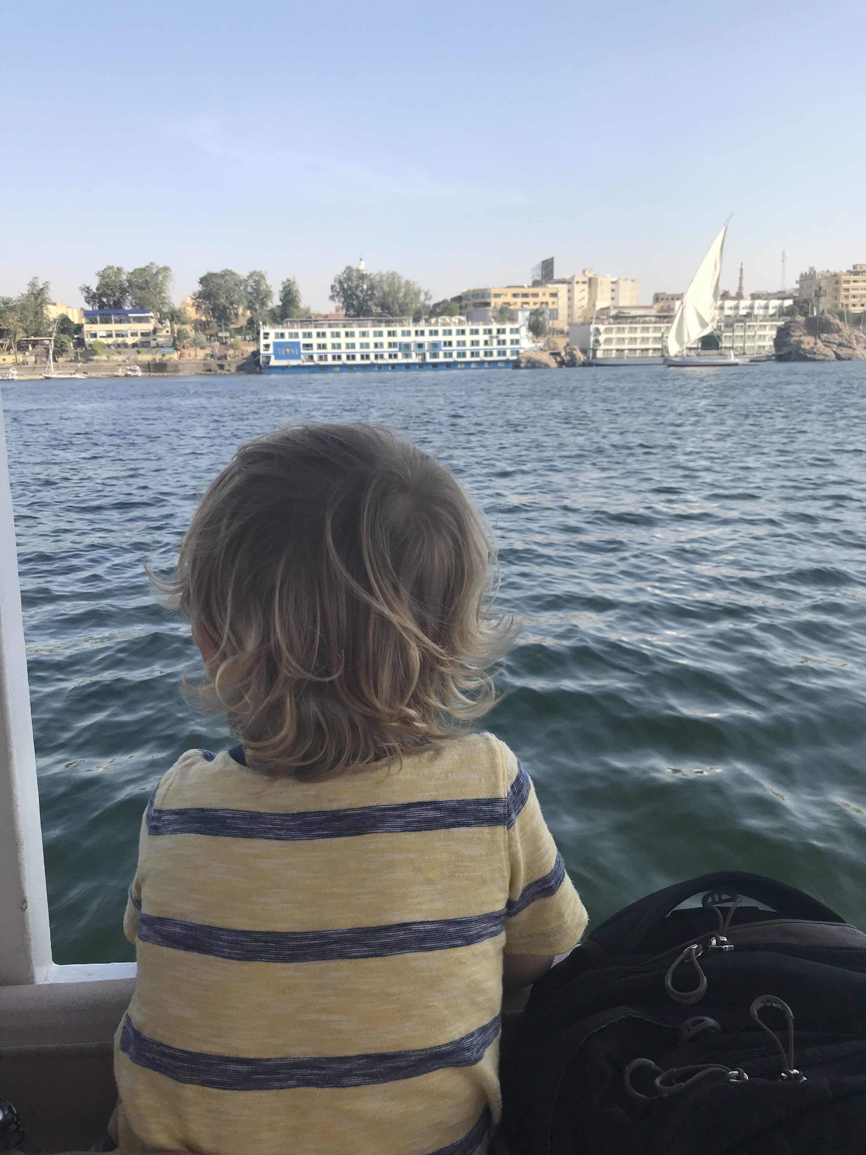 Aswan, Egypt Series: Movenpick Hotel Review-Travel with Kids – Carrie ...