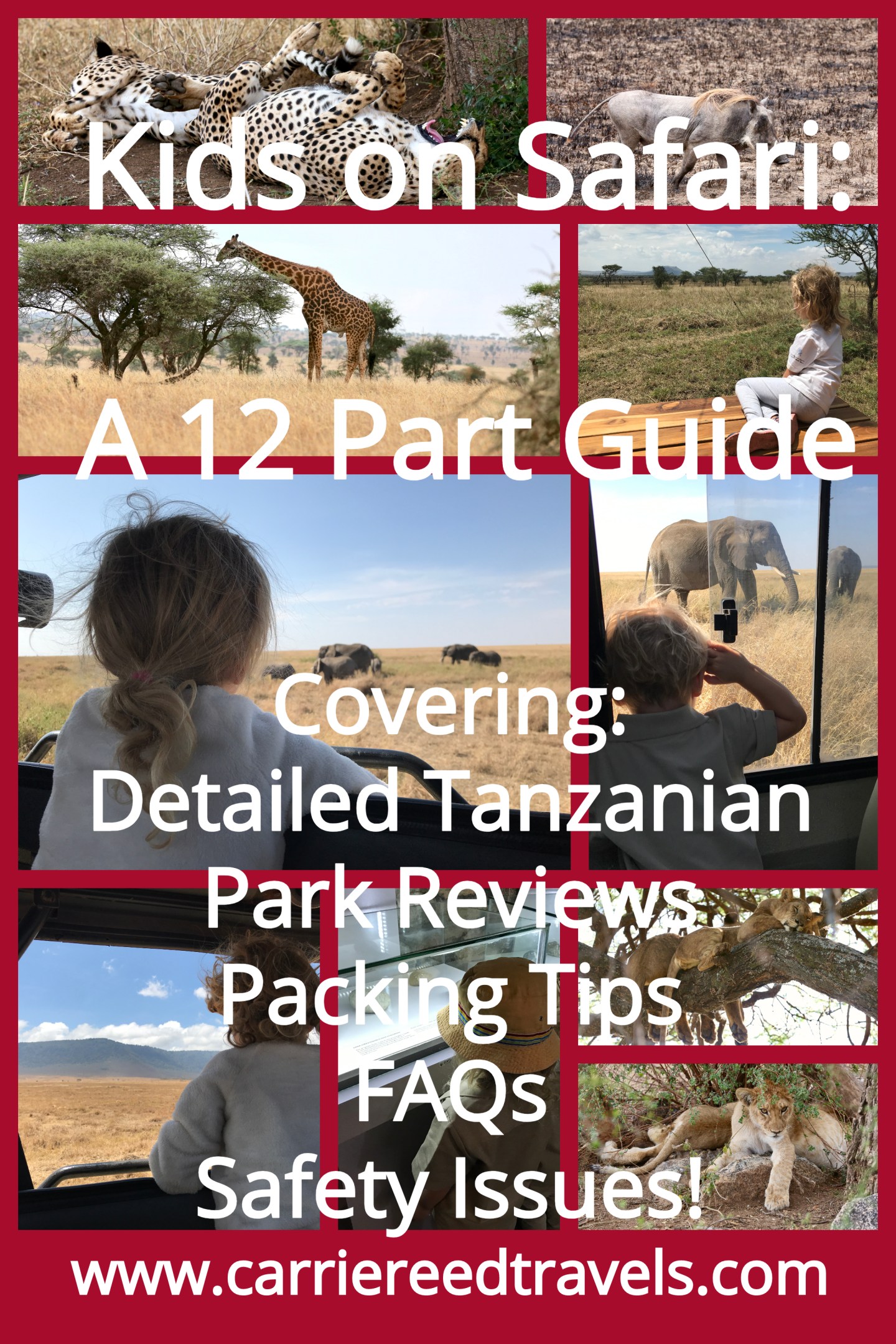 Kids on Safari: A 12 Part How To Guide to Having the Best Safari ...