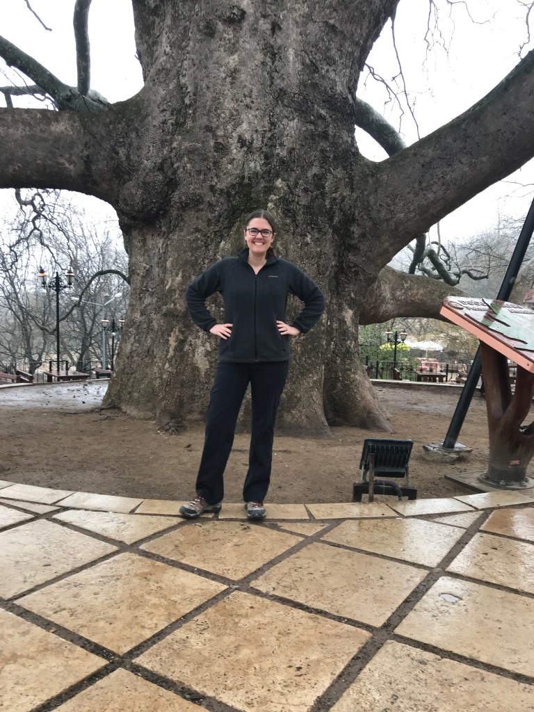 Ancient İnkaya Historical Tree near Bursa, Turkey – Carrie Reed Travels